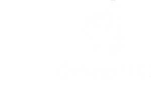 Guard Management Solutions – OfficerApps